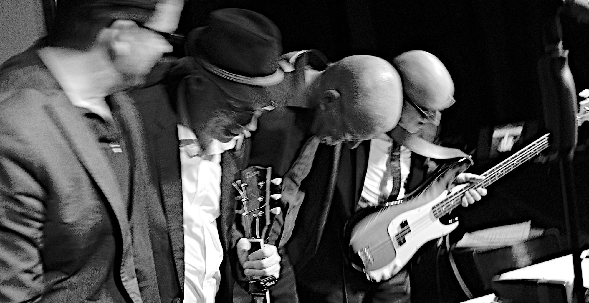 Caf Sterlitz The Blues Alligators caf-sterlitz-the-blues-alligators